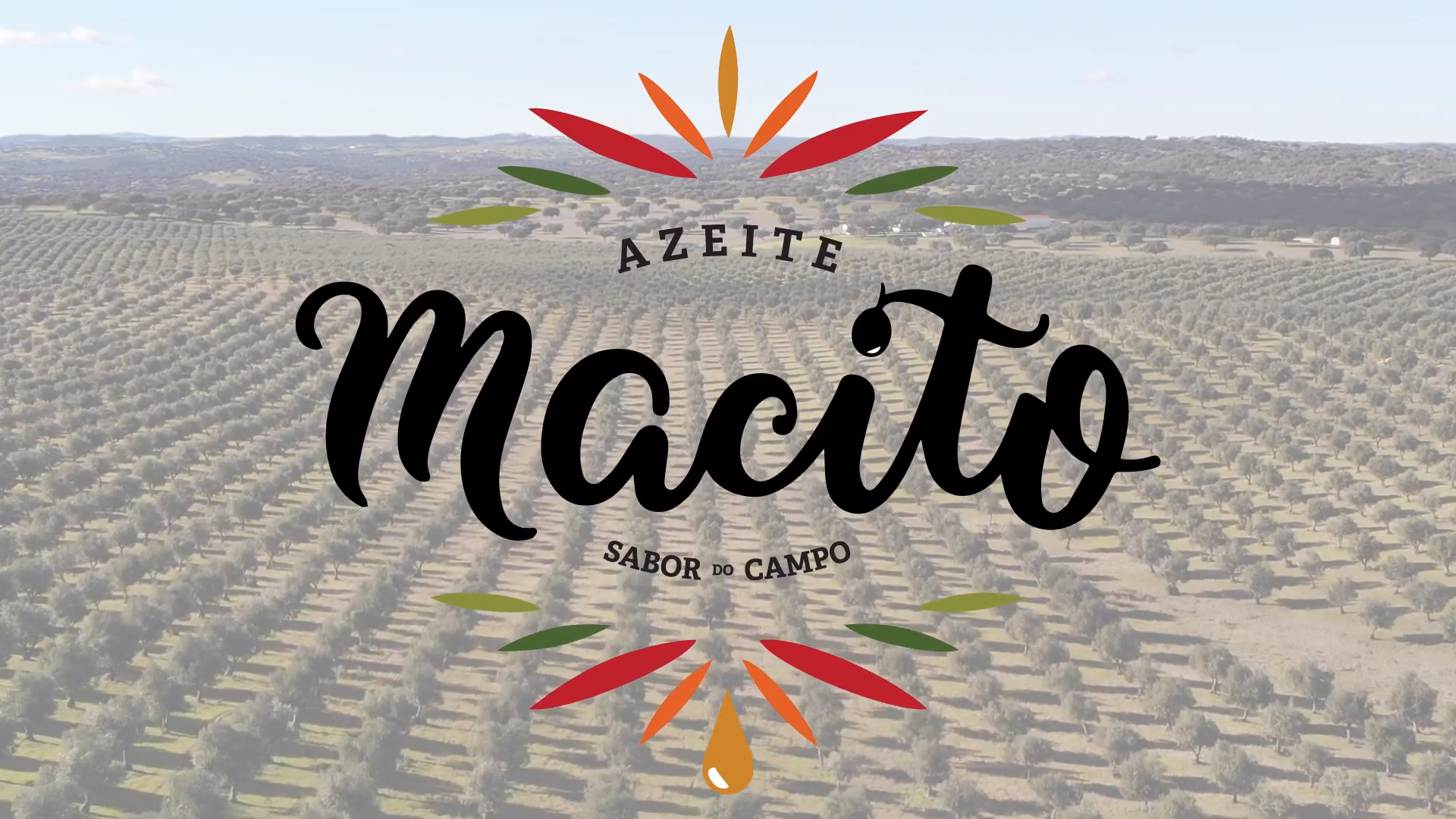 Macito - pedroferraz.com | webdesign - imagem - multimédia